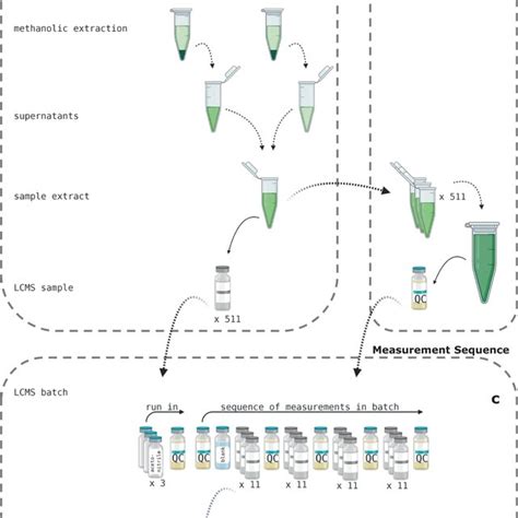 Lc Ms Sample Extraction And Sequence Of Measurements A We Prepared Download Scientific