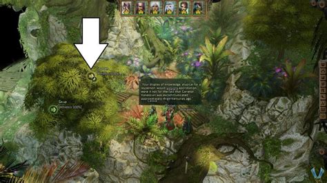 Rogue Trader World Shapers Walkthrough Warhammer 40 000 Rogue