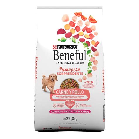 Croquetas Para Perro Carne Y Pollo Kg Purina Beneful Cst