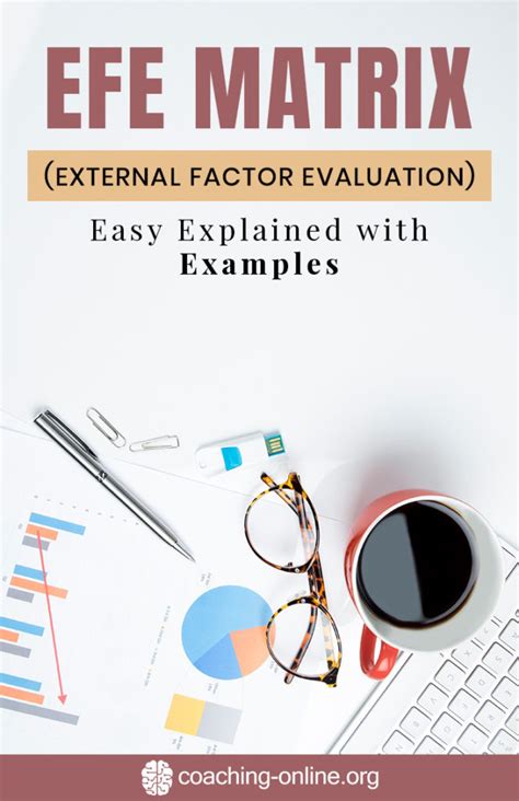 Efe Matrix External Factor Evaluation — Easy Explained With Examples