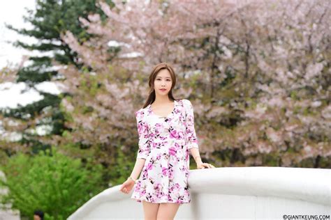 Daum 카페