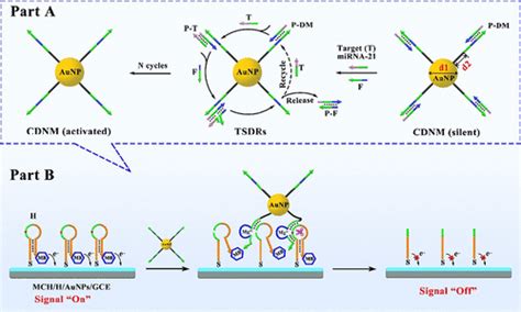 Controllable Three Dimensional Dna Nanomachine Mediated Electrochemical