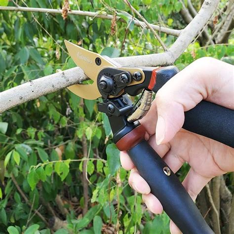 Cisailles de jardin forgées avec un manche à rouleau revêtement en