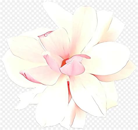 Png Png