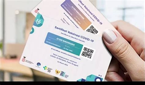 Cara Cek Sertifikat Vaksin Online Kemenkes Pakai HP 2024 Vaksin Covid