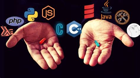 100 Off System Design Programming Languages With Certificate Of Completion Tutorial Bar