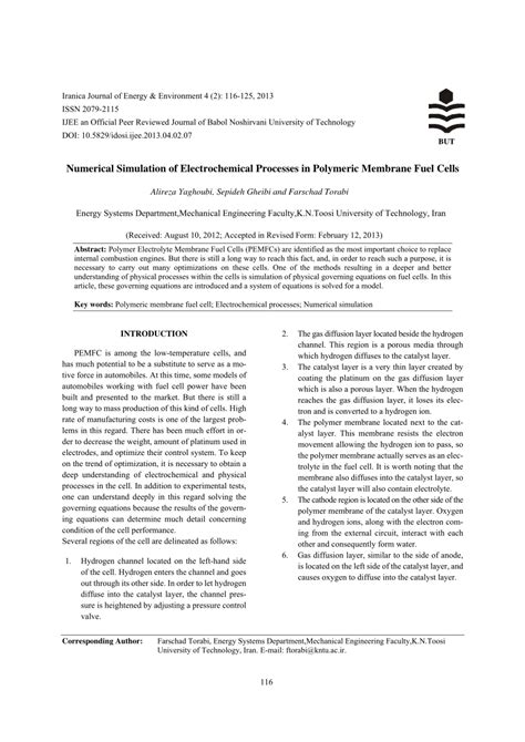 Pdf Numerical Simulation Of Electrochemical Processes In Polymeric