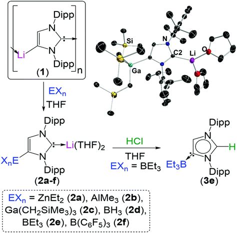 An Organometallic Toolbox For The Study And Synthesis Of Unique N Heterocyclic Carbenes