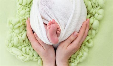 Biocells Células Madre