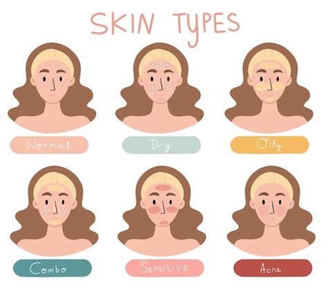 Premium Vector Skin Types Illustration Flat Design Illustration