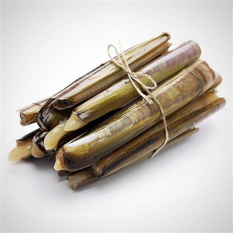 Buy Live Bamboo Clams Online At Ninja Food Singapore