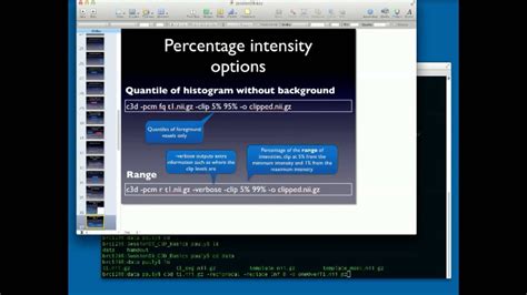 Itk Snap User Training Session 9 Convert3d Basics Youtube