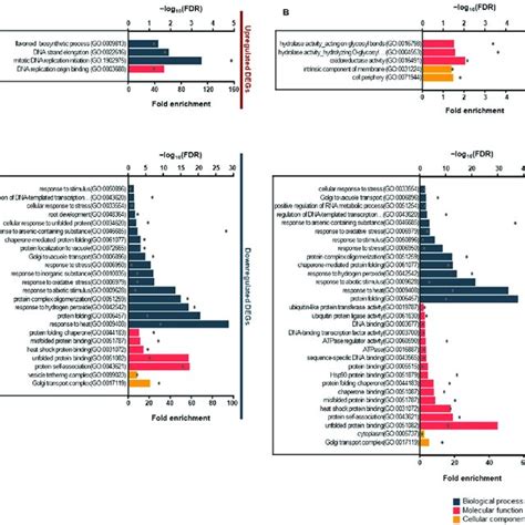 Gene Ontology Go Enrichment Analysis Of Differentially Expressed