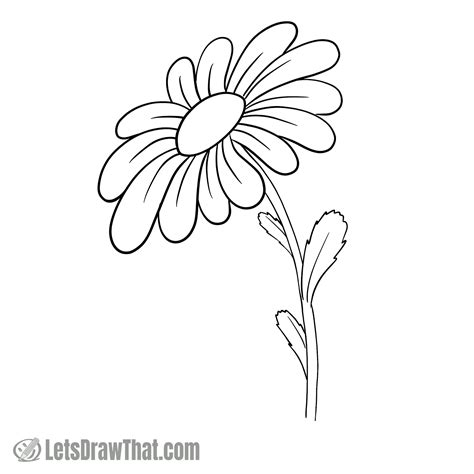 How To Draw A Daisy From Easy Simple Shapes