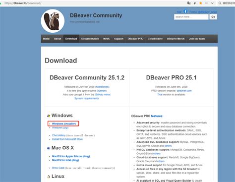 【时序数据库 Iotdb】时序数据库iotdb的可视化客户端安装部署 Dbeaver 技术栈