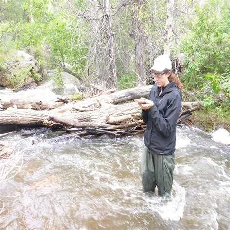 Lab And Field Photos N Leroy Poff