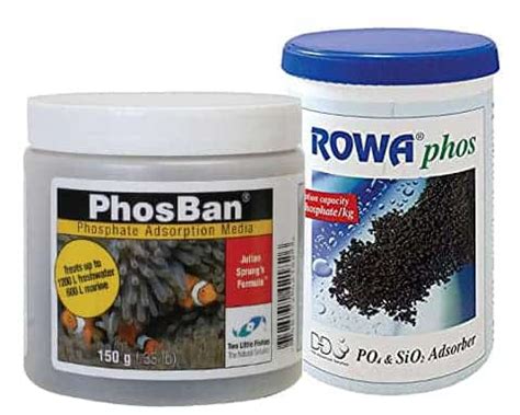 Phosphates In Reef Tanks Shrimp And Snail Breeder