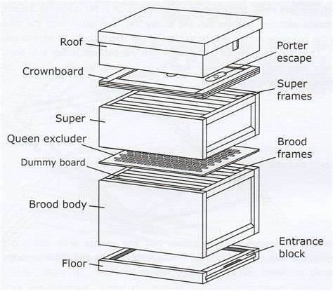Diagram Of A Beehive