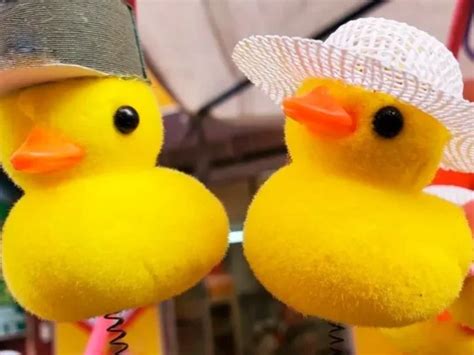 Los patitos en la cabeza de dónde viene la nueva moda que empezó a ser tendencia