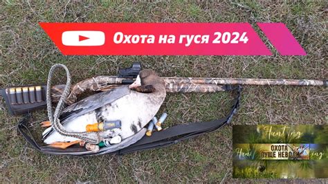 Весенняя охота на гуся 2024! Скрадок Мания Гравитация. - YouTube