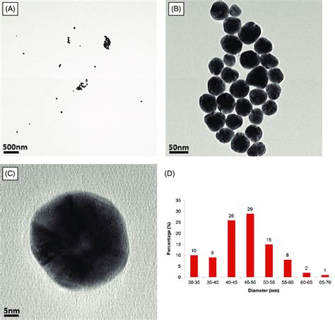 HR TEM Images The Scale Bars Represent A 500 Nm B 50 Nm And C