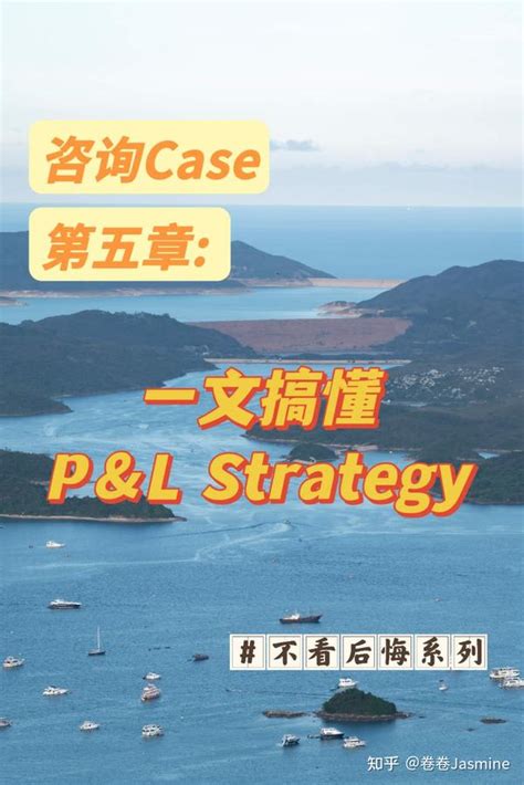 咨询case｜一文搞懂pandl Strategy 知乎