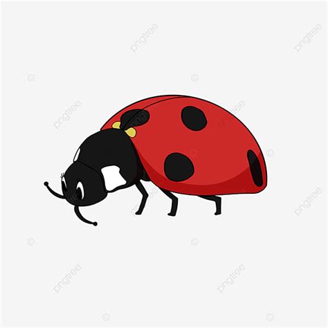Animated Bug Clipart