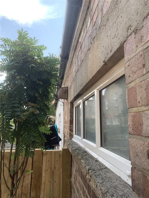 Neighbour Complained About Tree Blocking Light Through Window Rgardening