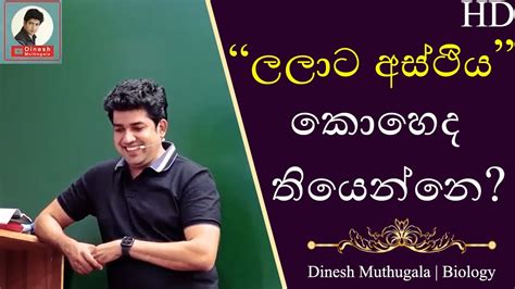 හිස් කබලේ අස්ථි කීයක් තියෙනවද Dr Dinesh Muthugala Dineshmuthugala
