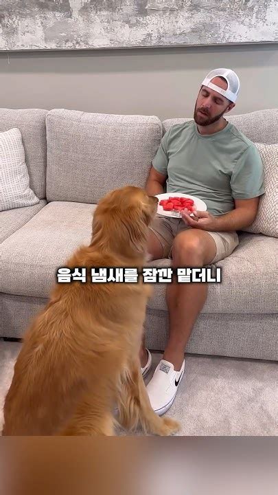 주인이 음식을 두고 잠들자 강아지의 충격적인 반응 Youtube