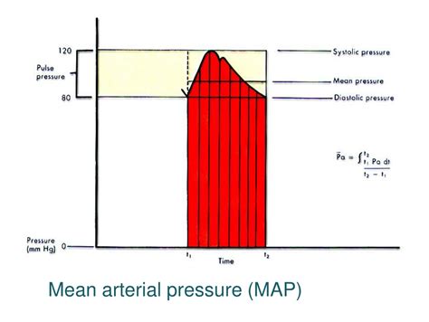 PPT Vascular Physiology And Hemodynamics Understanding Blood Flow In The Human Body