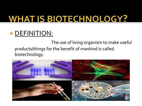 Biotechnology And And Its Branches