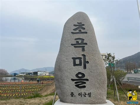 화려한 튤립꽃밭이 있는 초곡마을 경상남도 남해군 웰로