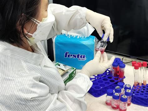 “biocompatibility Testing Of Medical Devices” Workshop For Medical