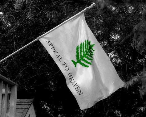 The Pine Tree Flag Kerfuffle Seems Dumb But In New England It