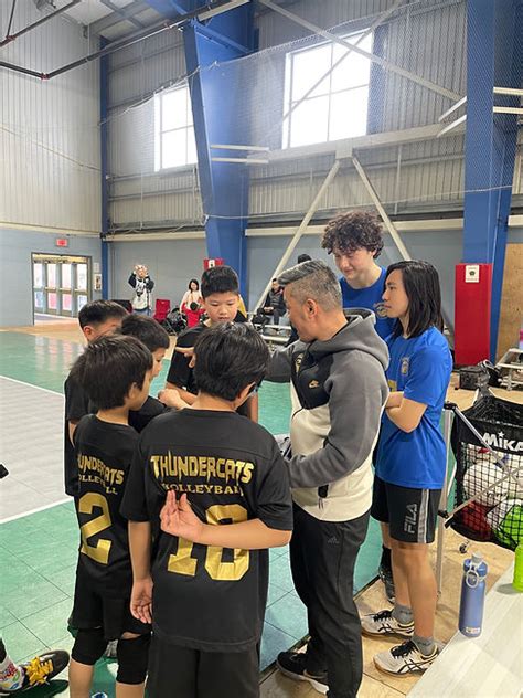 Programs Thundercats Vb