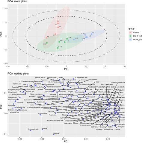 Principal Component Analysis Pca Score Plots And Loading Plots