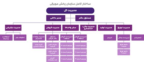 مراحل، هزینه‌ها و استراتژی‌های راه‌اندازی یک شرکت پخش موفق همکاران سیستم