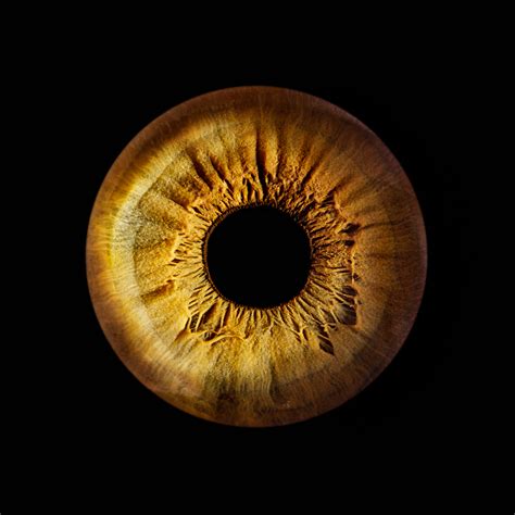 Iris-Fotografie, das Kunstwerk aus deinem Auge » FAHTPIX