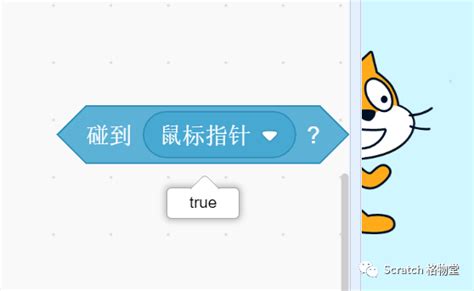 Debug In Scratch —— Part 1 少儿编程