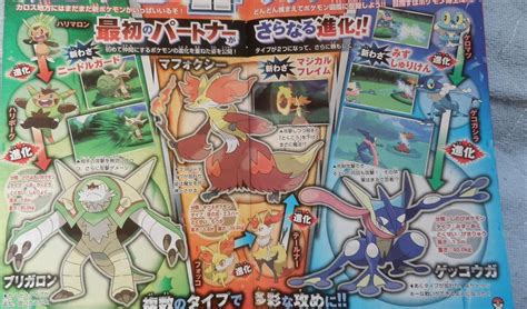 Chesnaught Delphox Greninja Nintendo Pokemon Pokemon Xy Official
