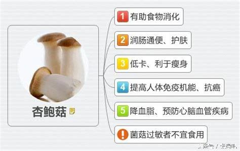 張逸帆瘦身健康菜譜 香煎杏鮑菇 每日頭條
