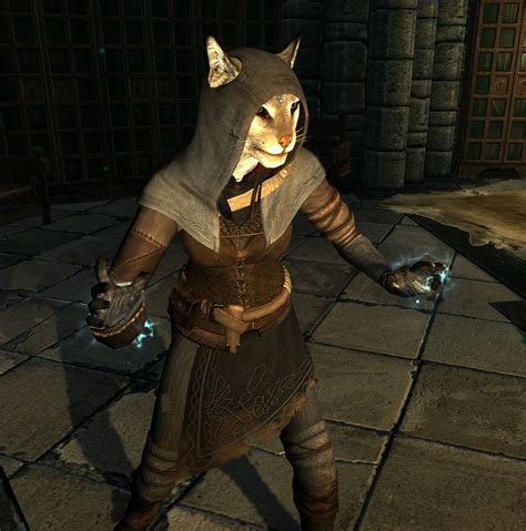 Skyrim Mage Armor Mods