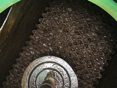 5 Warning Signs Your Septic Drain Field Is Clogged And How To Fix It