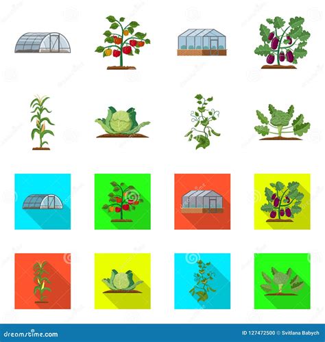 Isolated Object Of Greenhouse And Plant Logo Collection Of Greenhouse