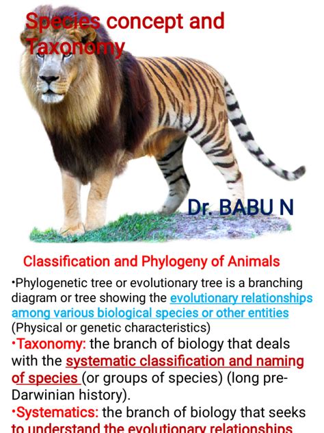 Species Concept Dr Bn Good Pdf Species Taxonomy Biology
