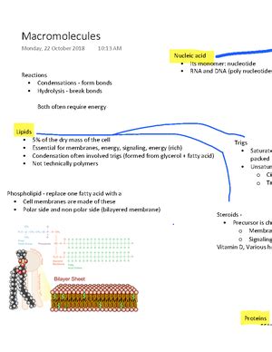 Unit 5 AP Biology Unit Overview Of Entire Unit Unit 5 AP Biology