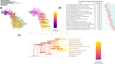 A Co‐citation Reference For Co‐citation And Cluster View B Burst Download Scientific