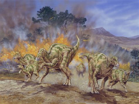 17 Billion T Rexes Lived On Earth Where Are All The Bones