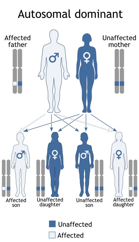 Genetic Diabetes